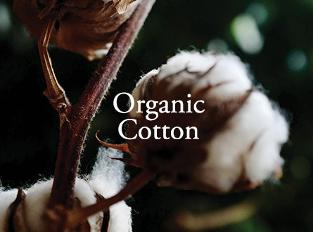 Organic Cotton – Globe Brand