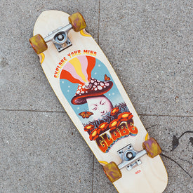 Skateboards – Globe Brand